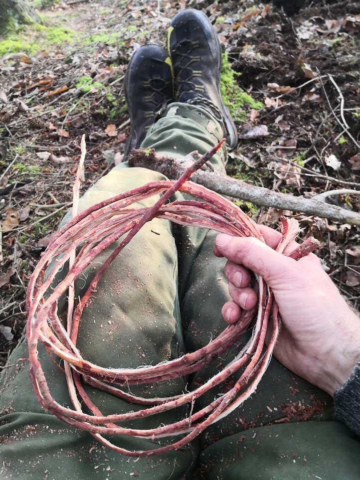 Spruce roots split – Aspen Outdoors Ltd